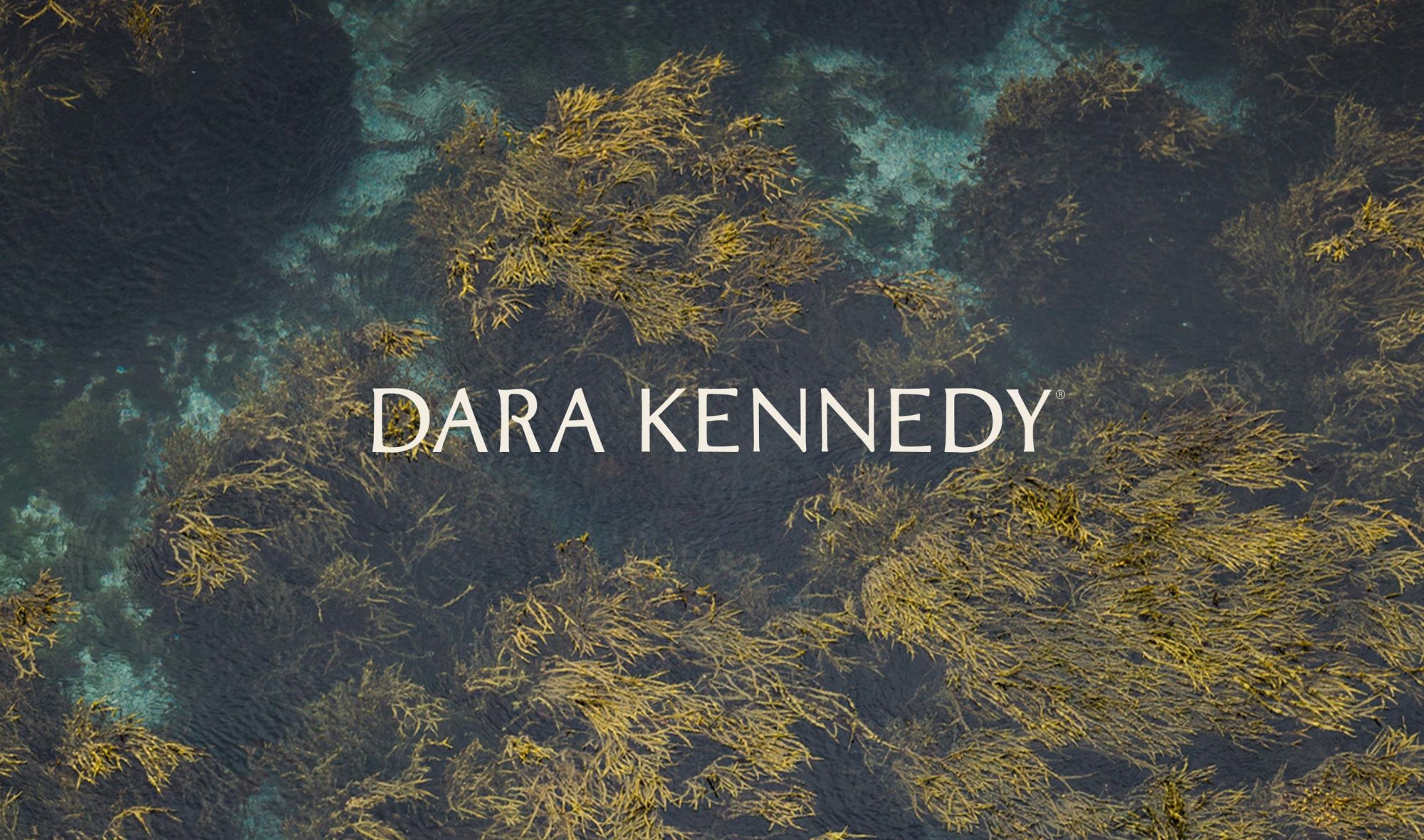 Dara Kennedy – Office Jason Schulte Design