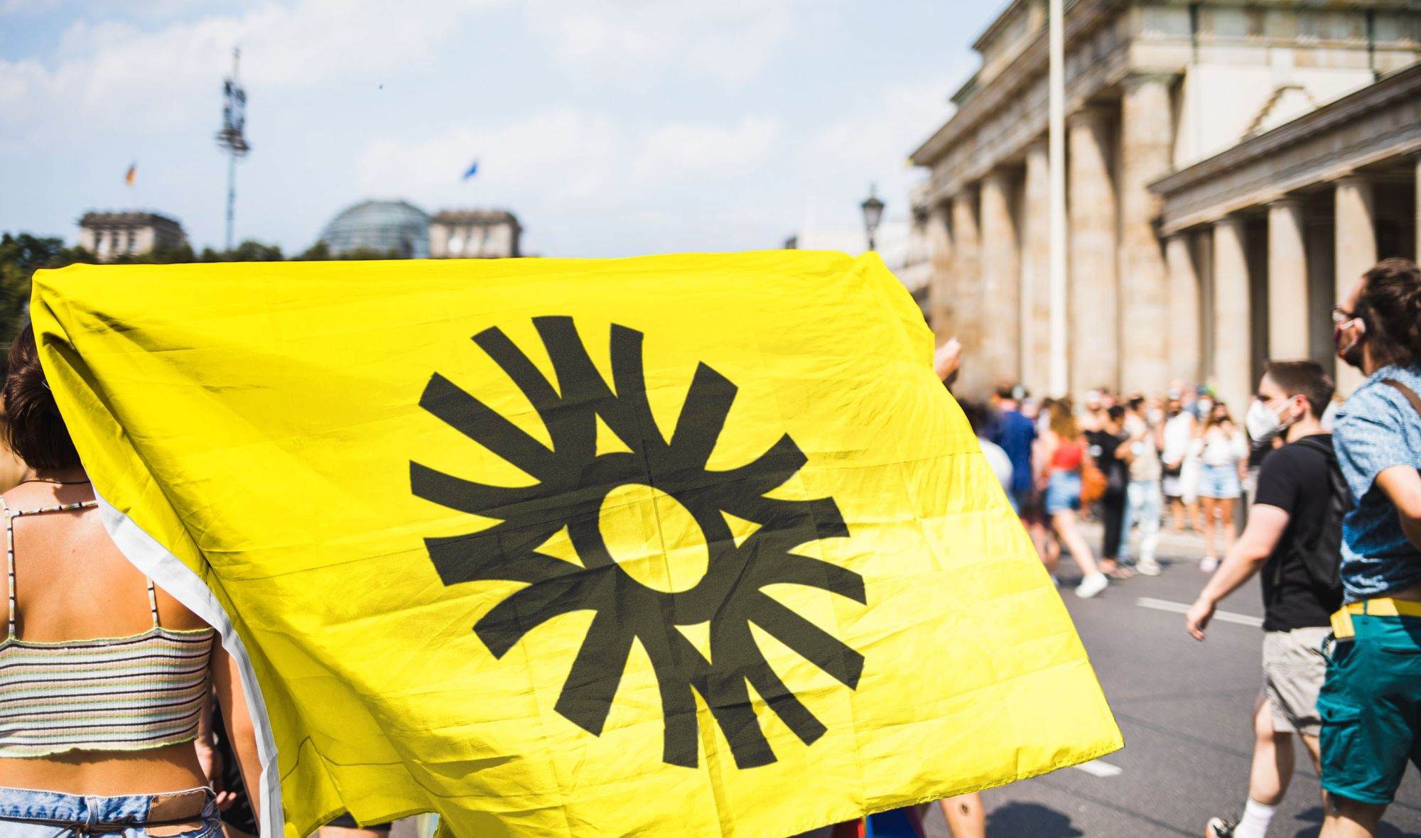 Project Dandelion – Office Jason Schulte Design