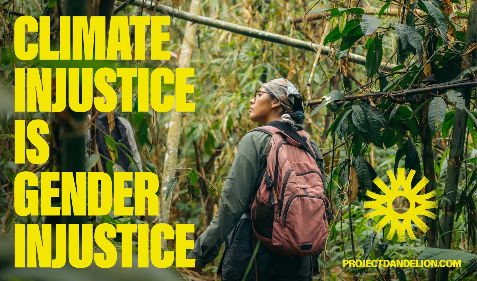 Project Dandelion – Office Jason Schulte Design